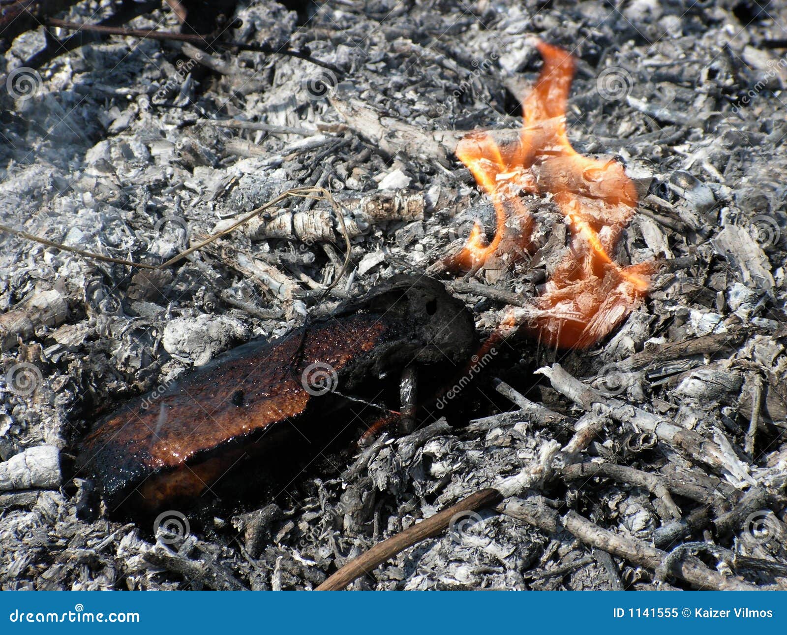 El Flamear Imagen. Imagen: 1141555