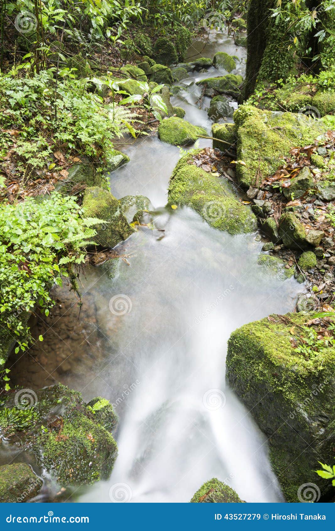 El fluir blanco del arroyo imagen de archivo. Imagen de fresco - 43527279
