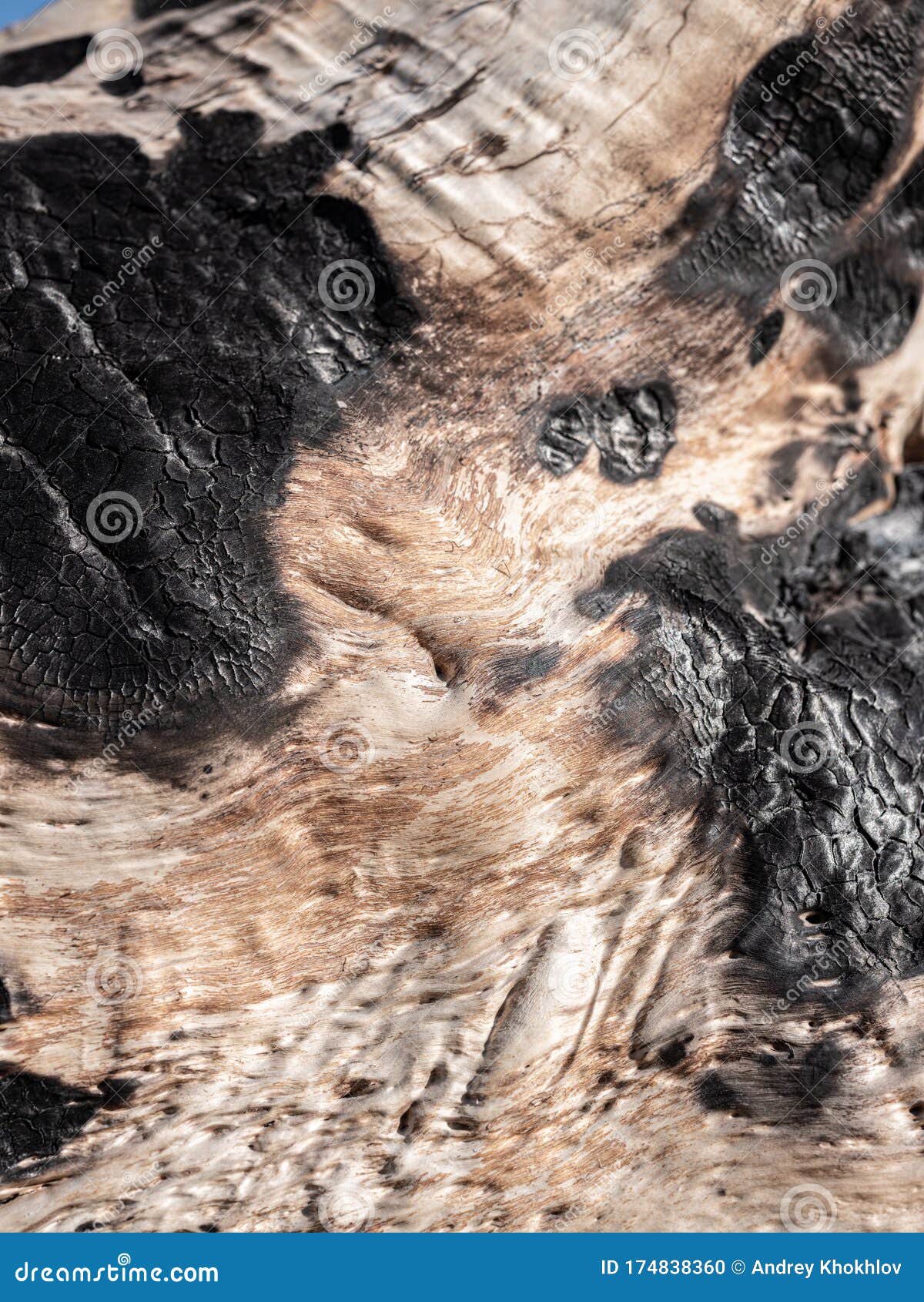 El Fondo De Madera Calcinada Foto de archivo - Imagen de nivel, polvo ...