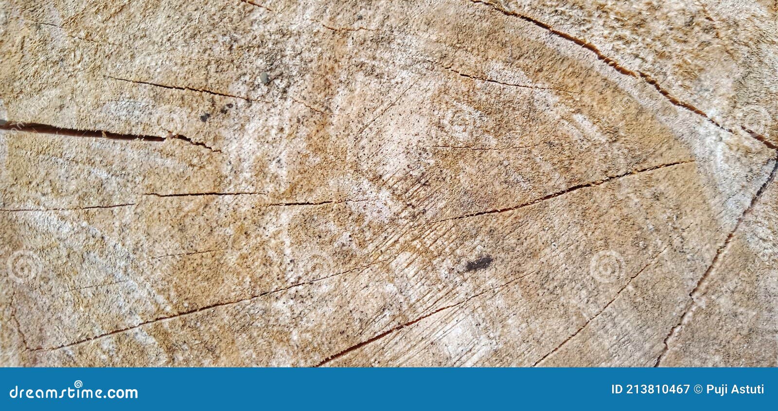 El Fondo De Un Gran Trozo De Madera Imagen de archivo - Imagen de ...