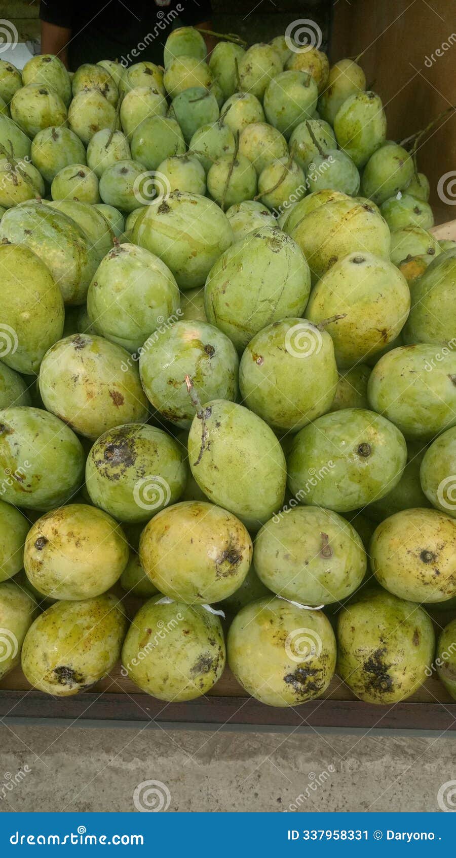 El Fruto Del Mango Contiene Vitamina C Imagen de archivo - Imagen de ...