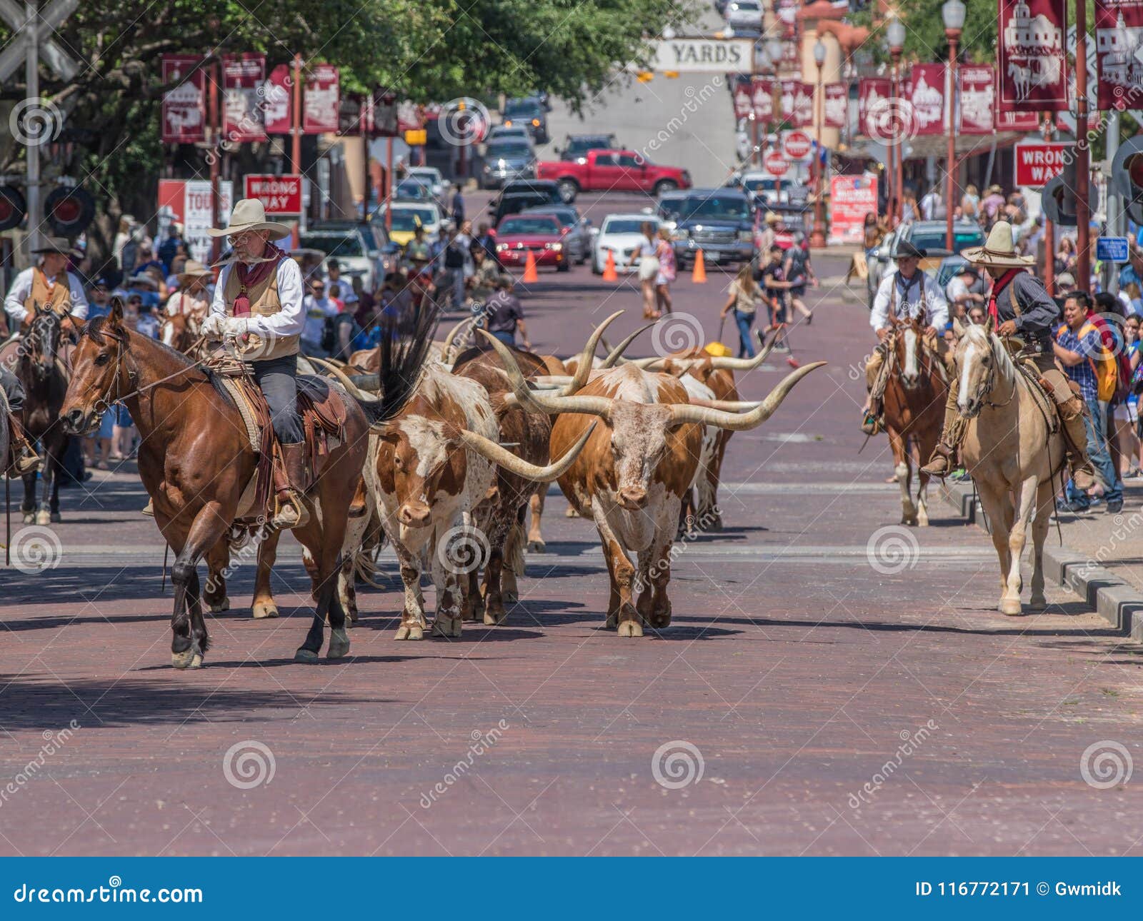 El Ganado Conduce Valor Del Pie Foto editorial - Imagen de tejas ...