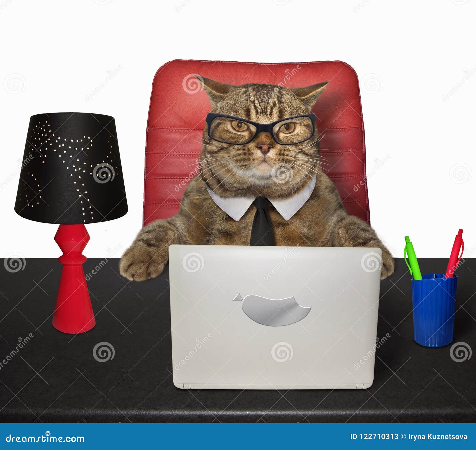 El Gato Trabaja En El Cuadro 3 Imagen de archivo - Imagen de humor ...