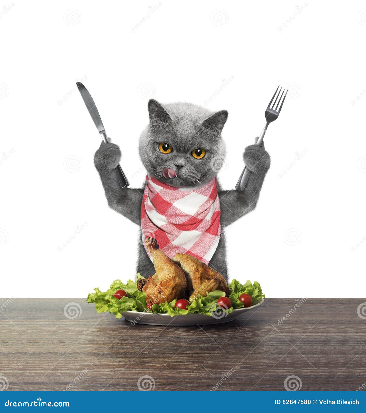 El Gato Va a Comer El Pollo Foto de archivo - Imagen de comida, lindo ...