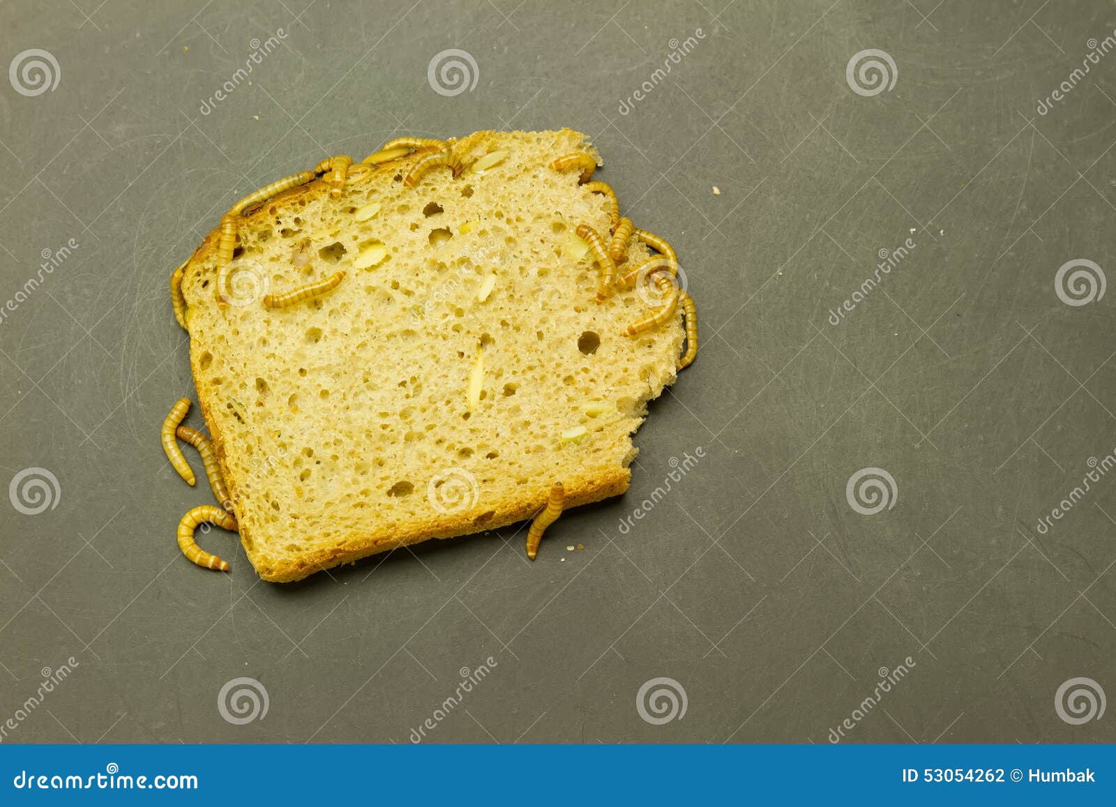 El Gusano De Harina Come El Pan Foto de archivo - Imagen de concepto ...