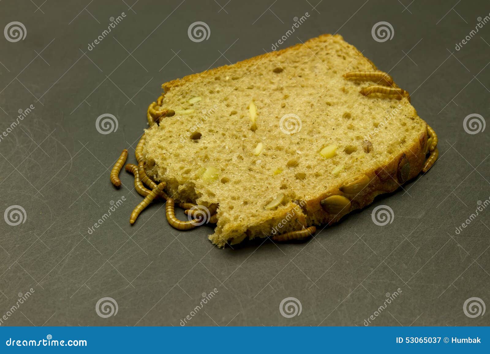 El Gusano De Harina Come El Pan Imagen de archivo - Imagen de fondo ...