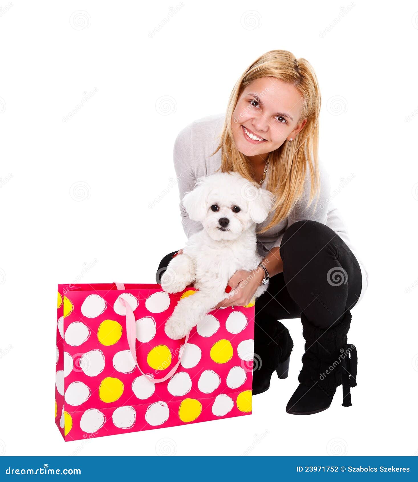 El Hacer Compras Con Mi Perrito Foto de archivo - Imagen de compras ...