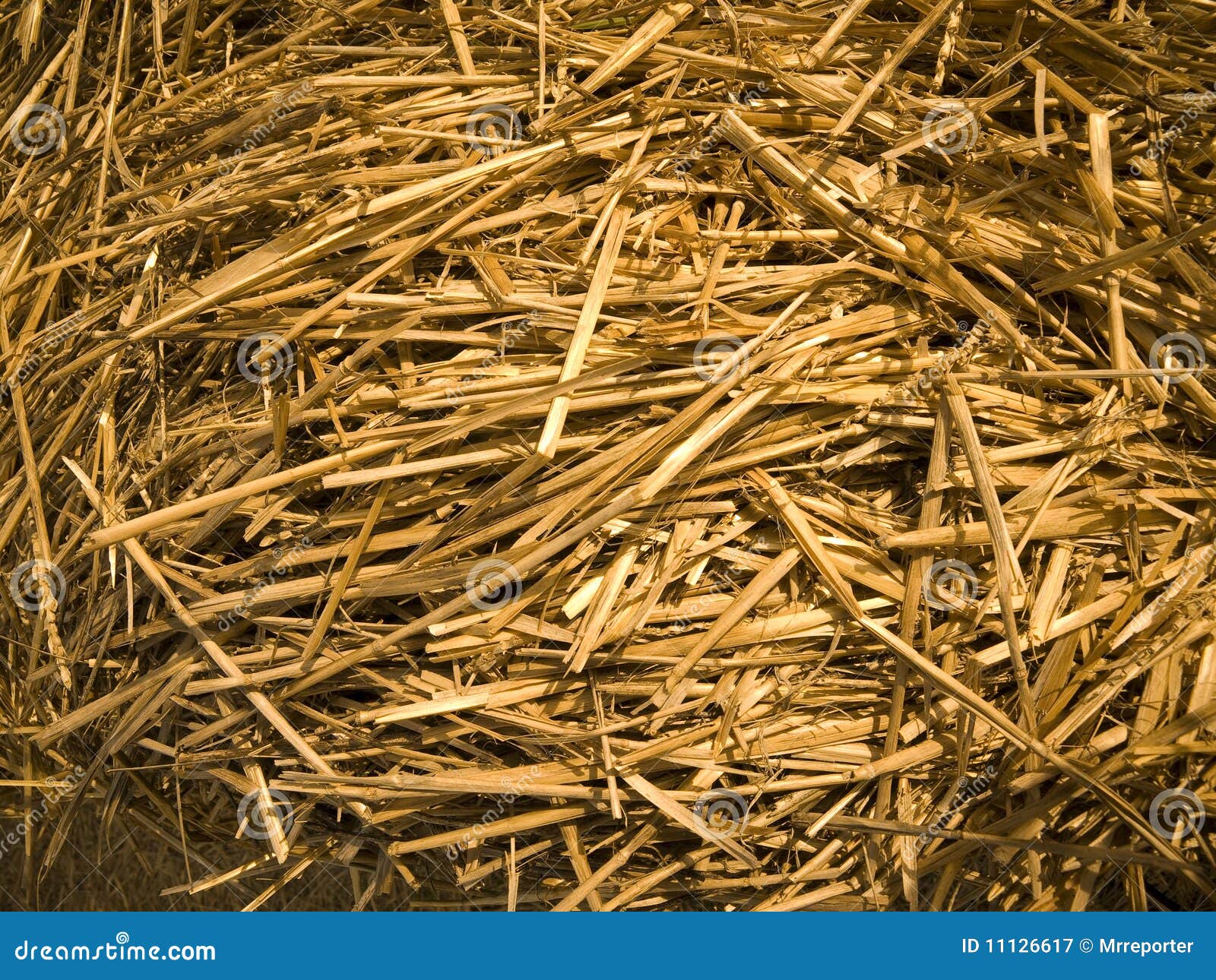 El heno imagen de archivo. Imagen de almacén, secado - 11126617