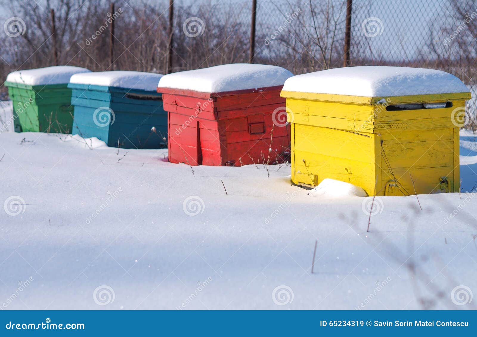 El Hibernar De Las Colmenas De La Abeja Imagen de archivo - Imagen de ...