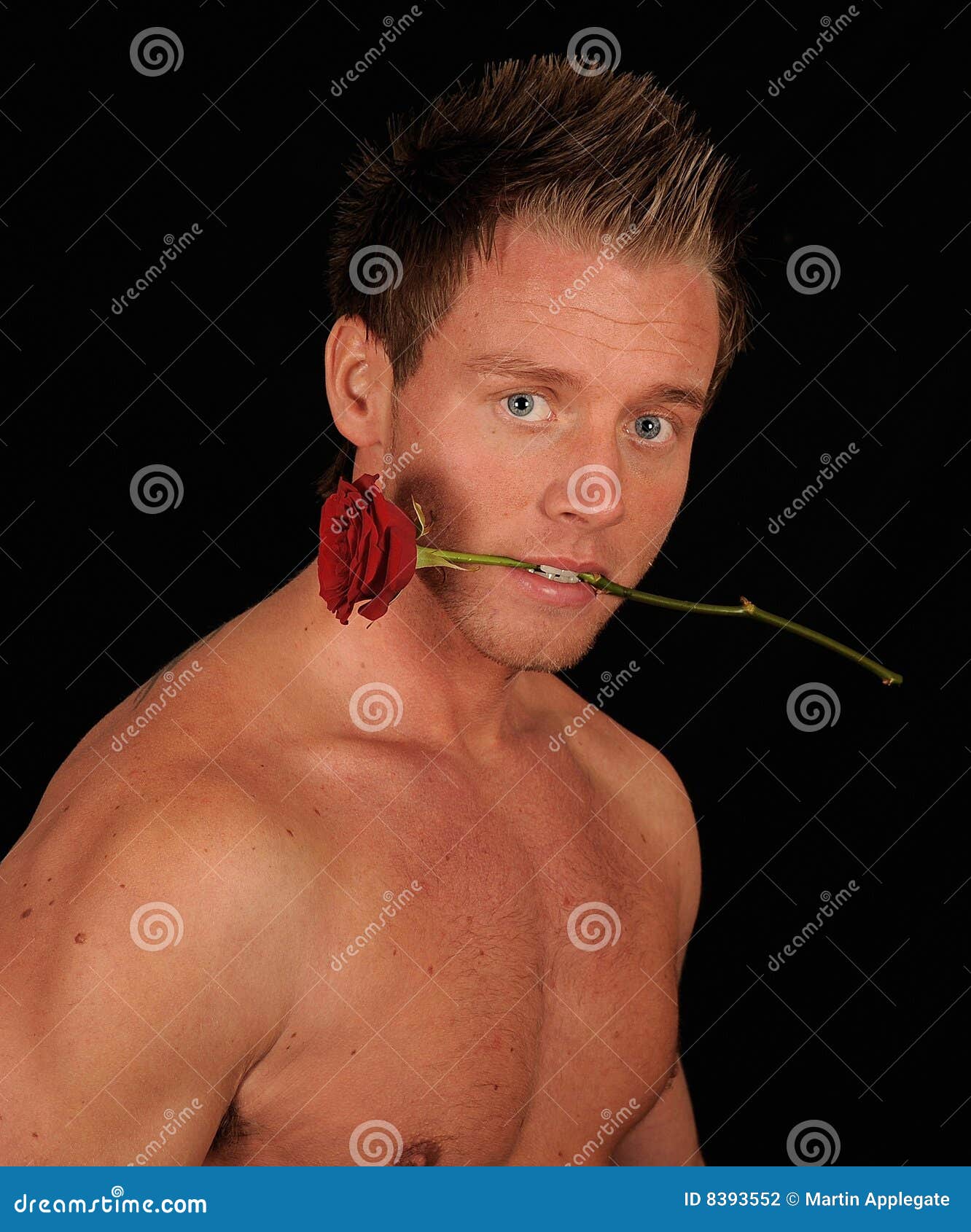 El hombre con se levantó foto de archivo. Imagen de negro - 8393552