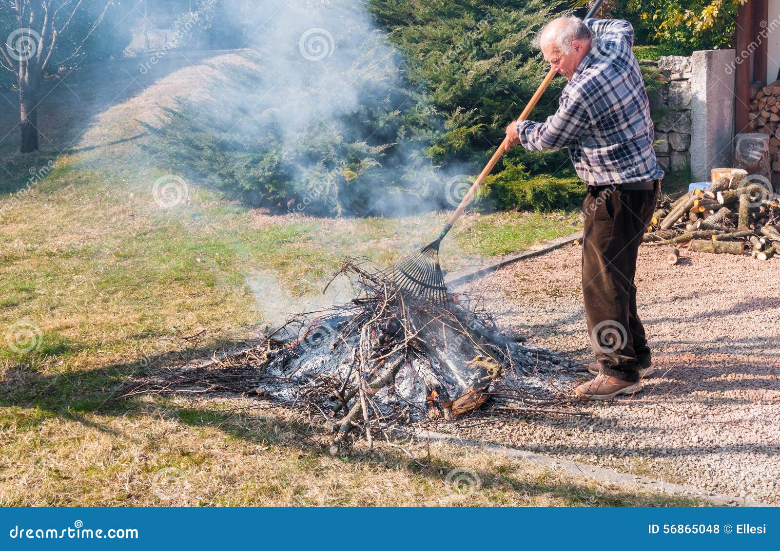 El Hombre Mayor Está Quemando Ramas Secas Foto de archivo - Imagen de ...