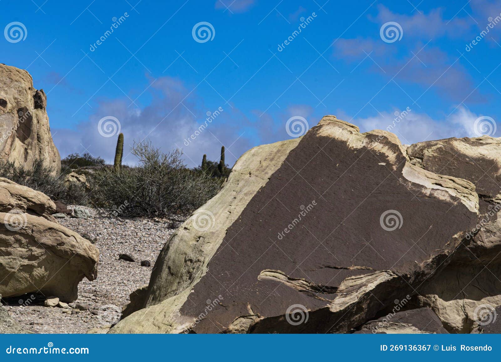The Ischigualasto Provincial Park or Valle De La Luna,moon Valley, is ...