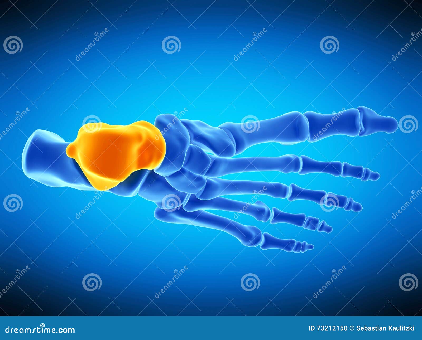 Talud Ilustraciones Stock, Vectores, Y Clipart – (905 Ilustraciones Stock)