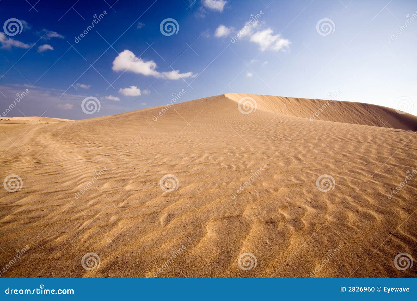 El Jable desert stock photo. Image of skies, dunes, desert - 2826960