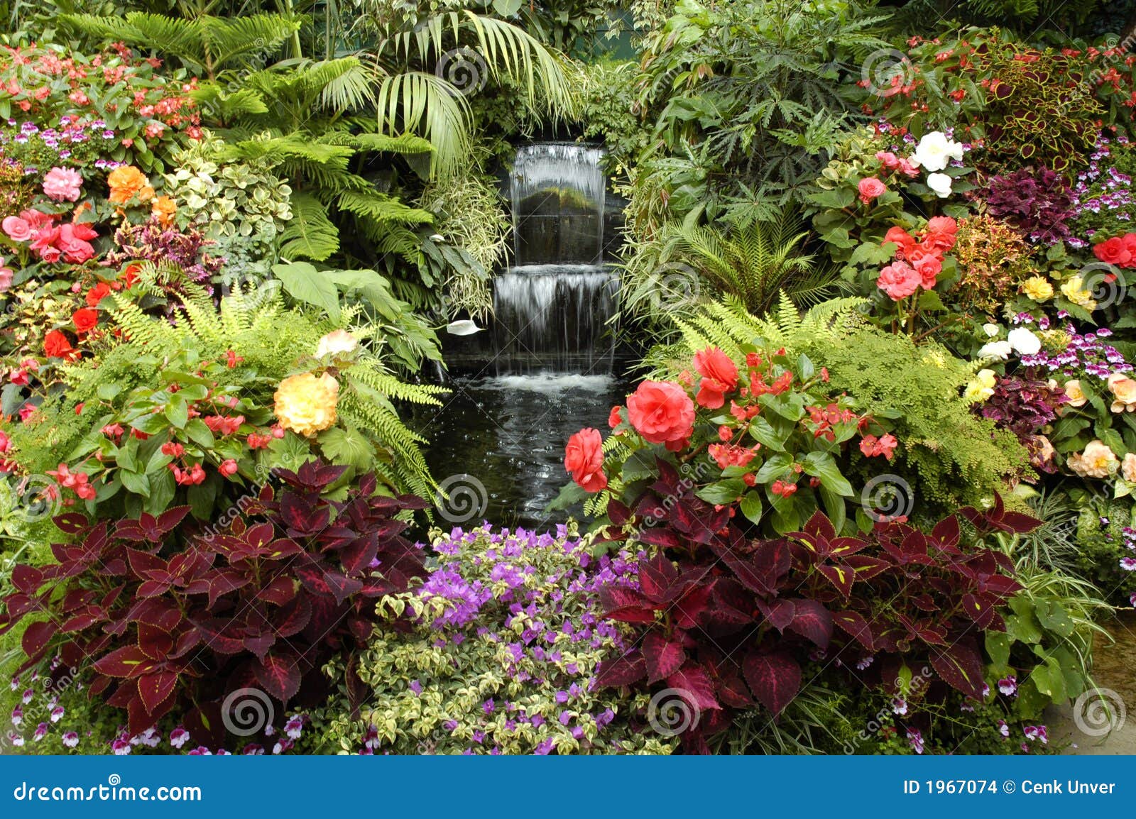 El jardín de Eden foto de archivo. Imagen de verde, cielo - 1967074