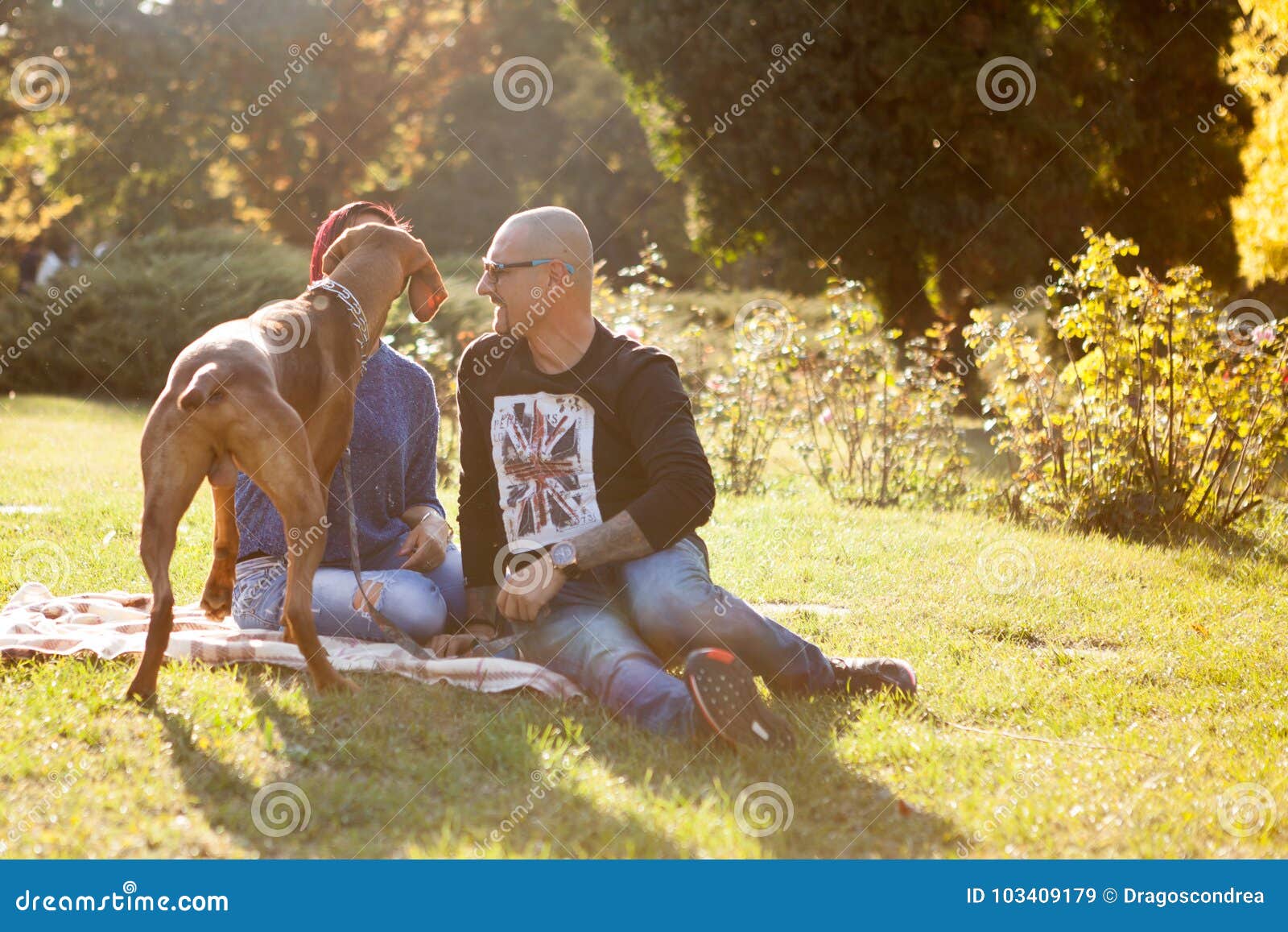El Jugar En El Parque Con Su Perro Imagen de archivo - Imagen de feliz ...