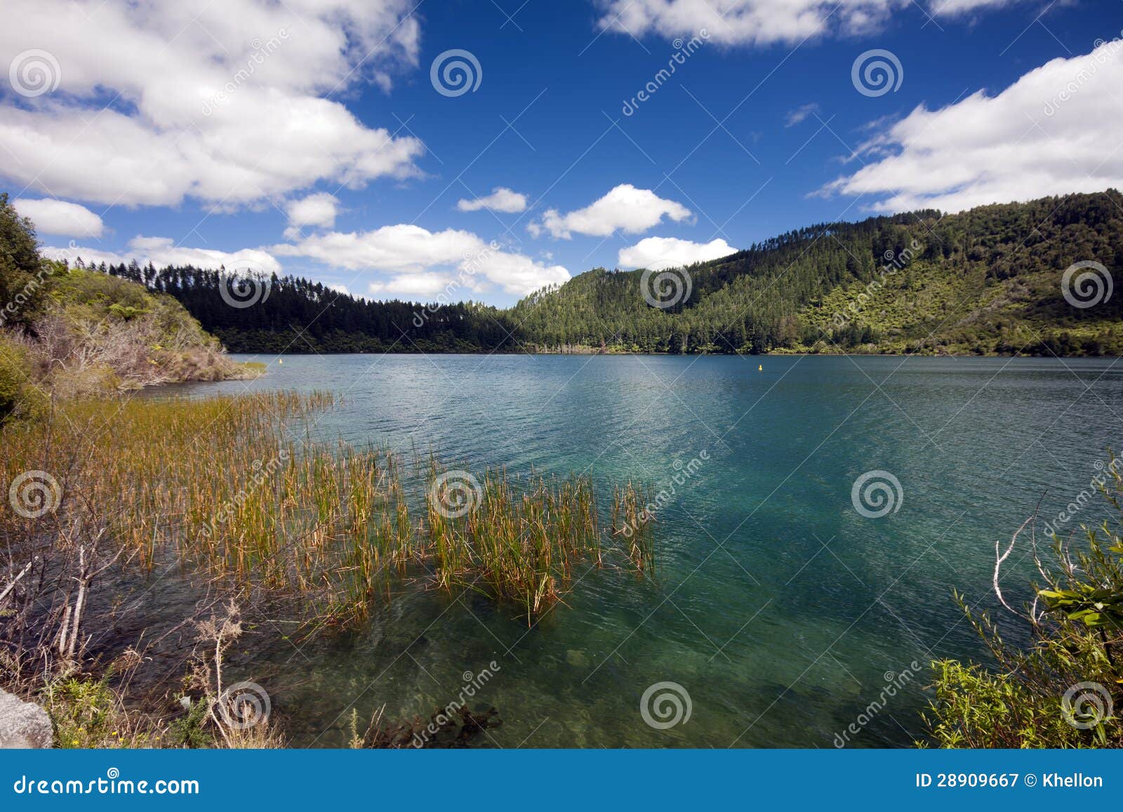 El Lago Azul, Isla Del Norte, NZ Imagen de archivo - Imagen de travieso ...