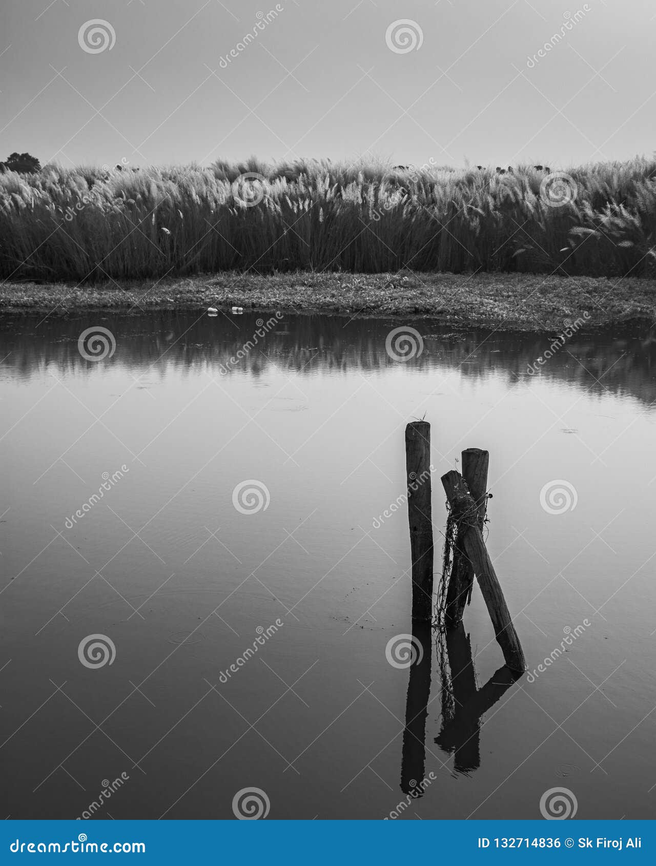 El mar infinito conmigo foto de archivo. Imagen de india - 132714836