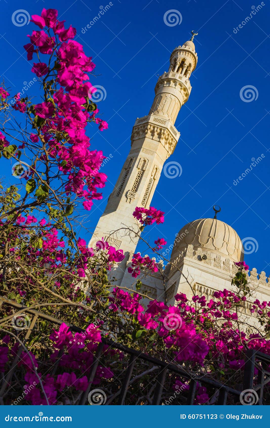 El Mina Masjid Mosque In Hurghada, Stock Image - Image of tourism ...