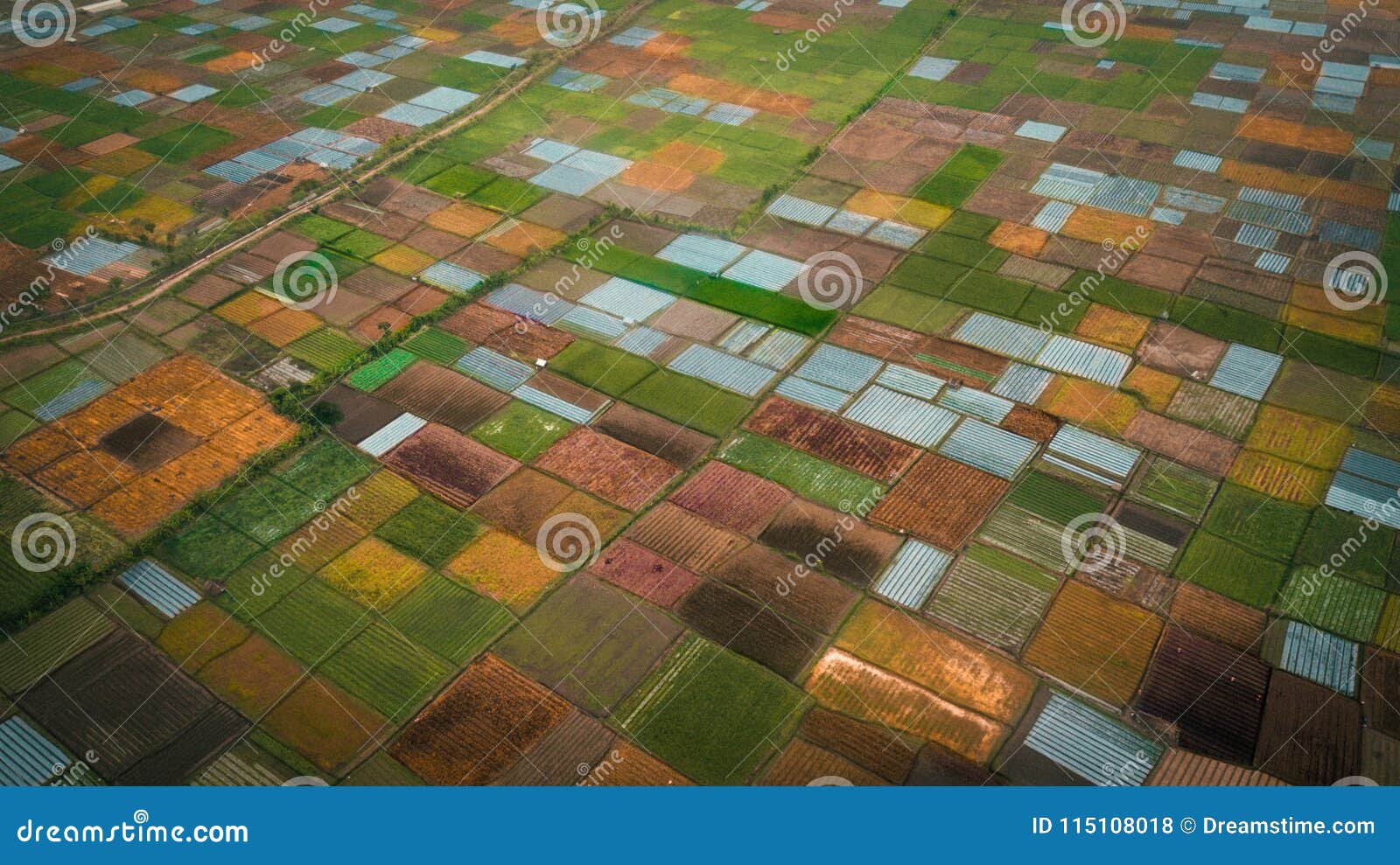 El modelo del campo foto de archivo. Imagen de indonesia - 115108018