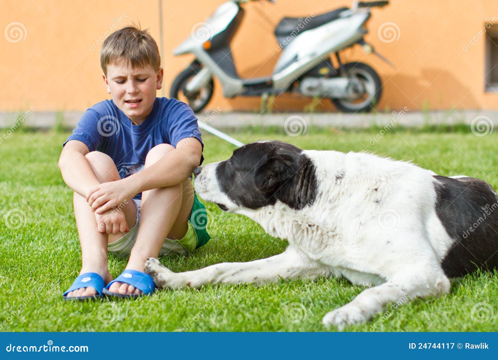 El muchacho con su perro imagen de archivo. Imagen de cabritos - 24744117