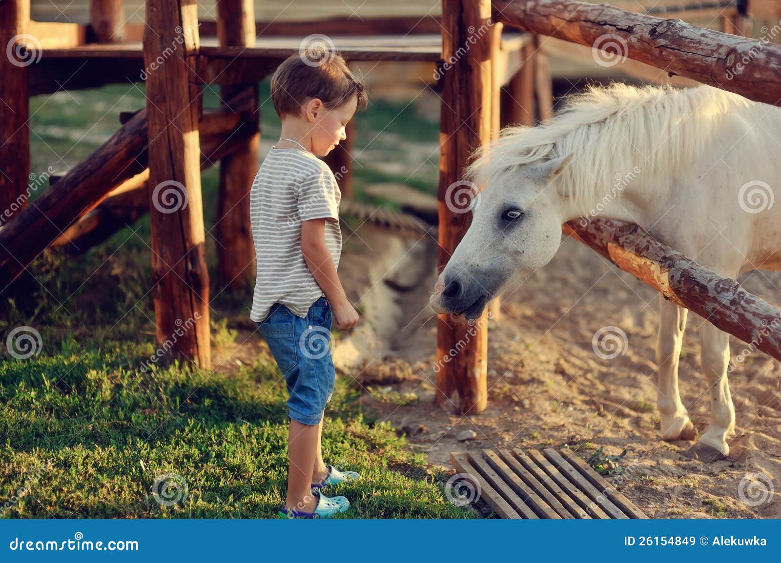 El muchacho en el rancho imagen de archivo. Imagen de rural - 26154849