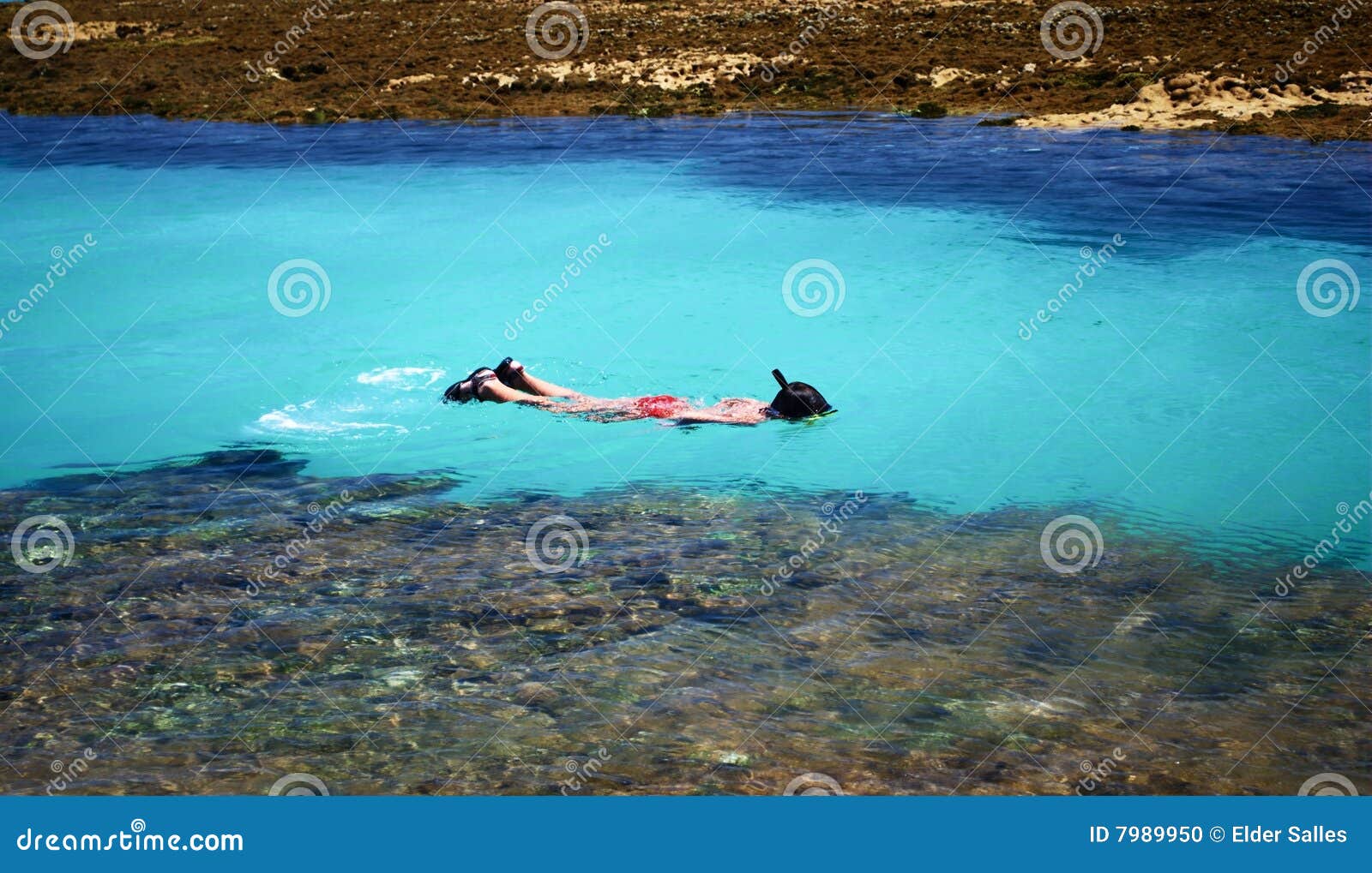 El Nadar En El Mar Claro Cristalino Foto de archivo - Imagen de agua ...