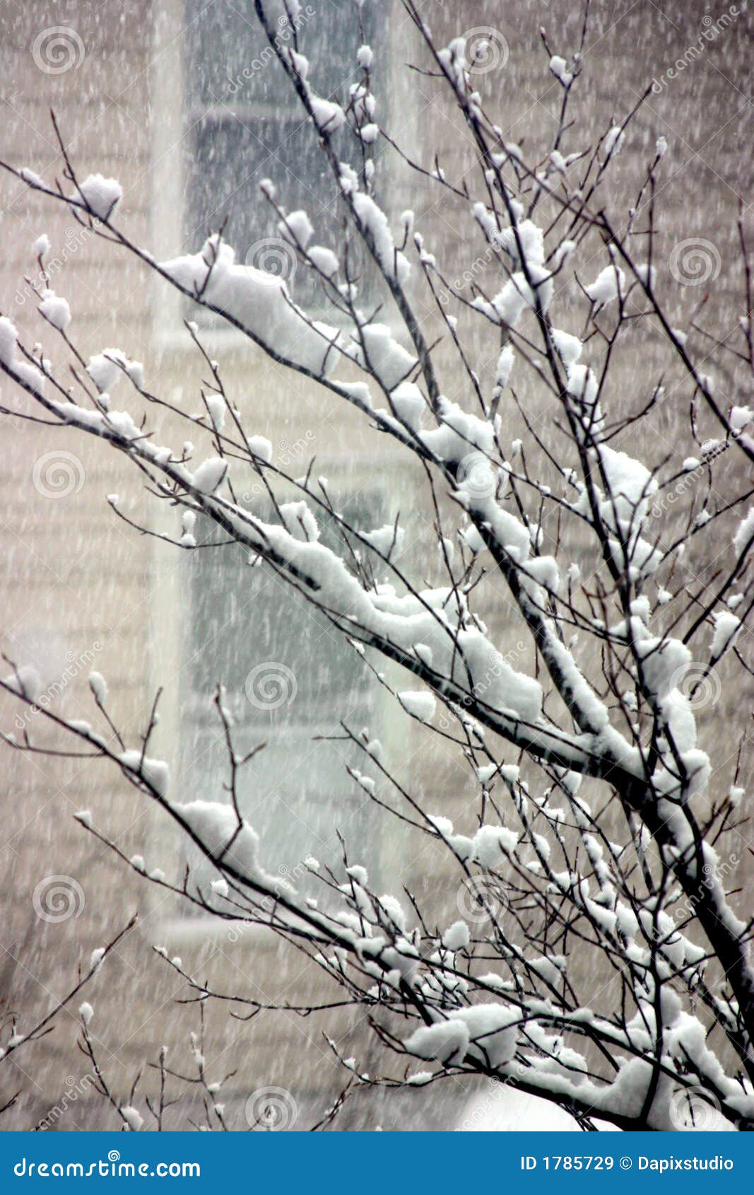 El nevar imagen de archivo. Imagen de descubierto, cubo - 1785729