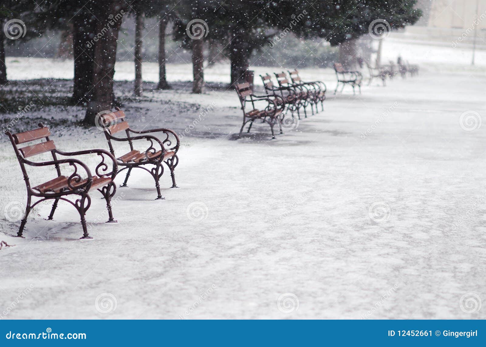 El nevar en el parque imagen de archivo. Imagen de cubo - 12452661