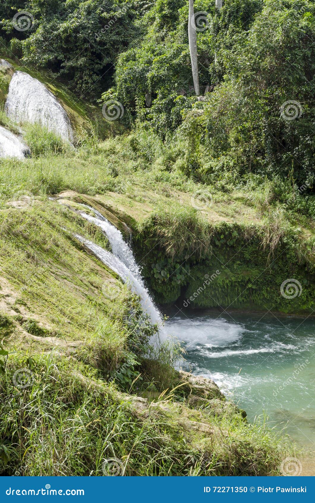 EL Nicho Del Parque En Cuba Foto de archivo - Imagen de cuba, latino ...