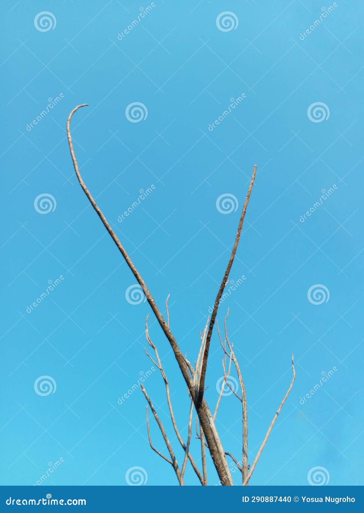 El Nino stock photo. Image of summer, season, nino, global - 290887440