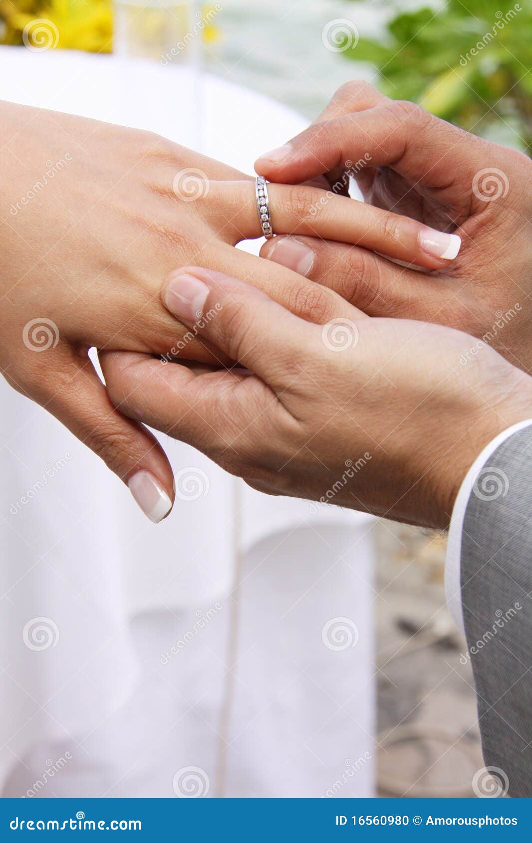El Novio Pone El Anillo En Novia Foto de archivo - Imagen de anillo ...