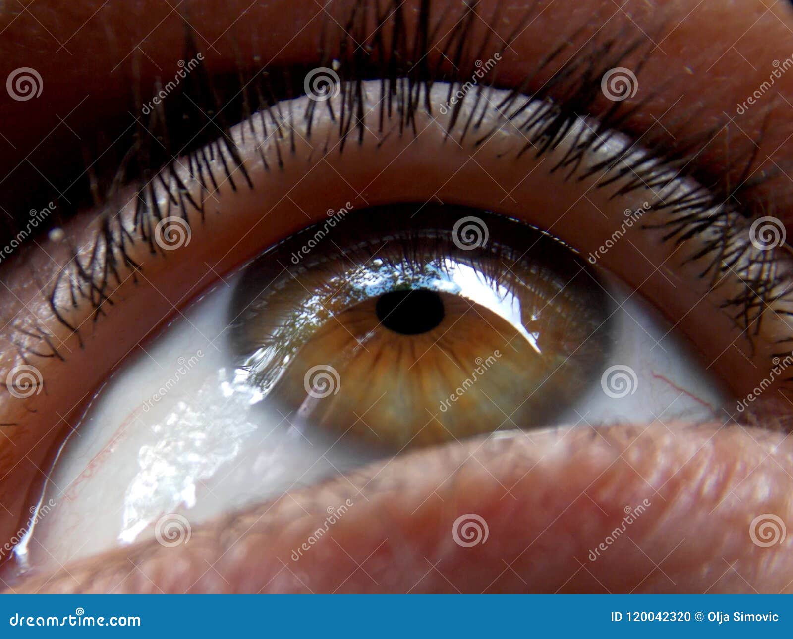 El ojo humano foto de archivo. Imagen de macro, piel - 120042320