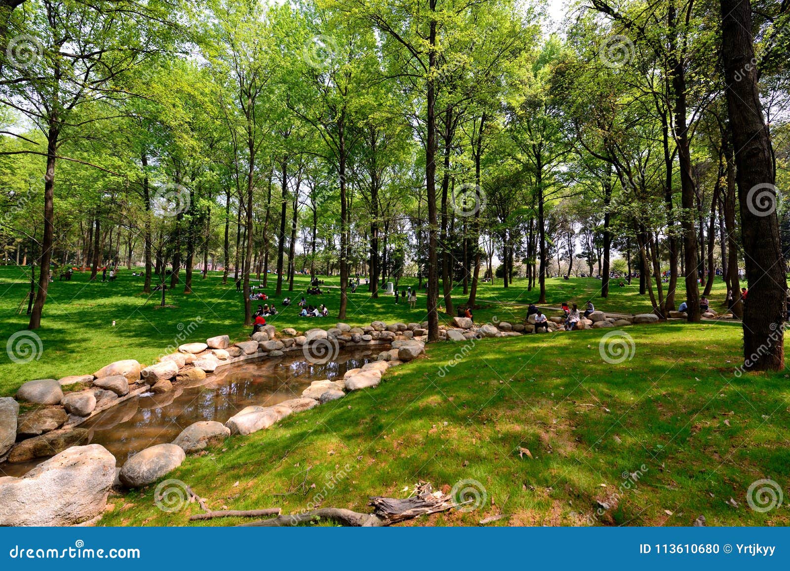 El paisaje en el parque imagen editorial. Imagen de dorado - 113610680