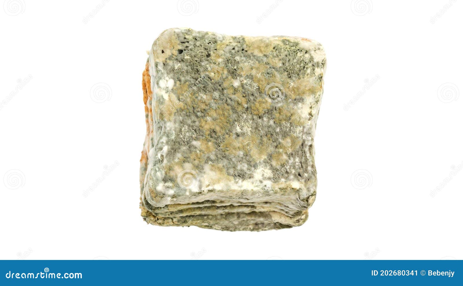 El Pan Tiene Un Hongo Sobre Un Fondo Blanco Imagen de archivo - Imagen ...