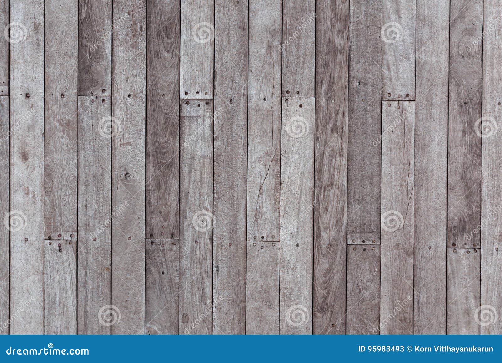 El Panel De Piso De Madera Del Fondo Con El Clavo Del Moho Imagen de ...