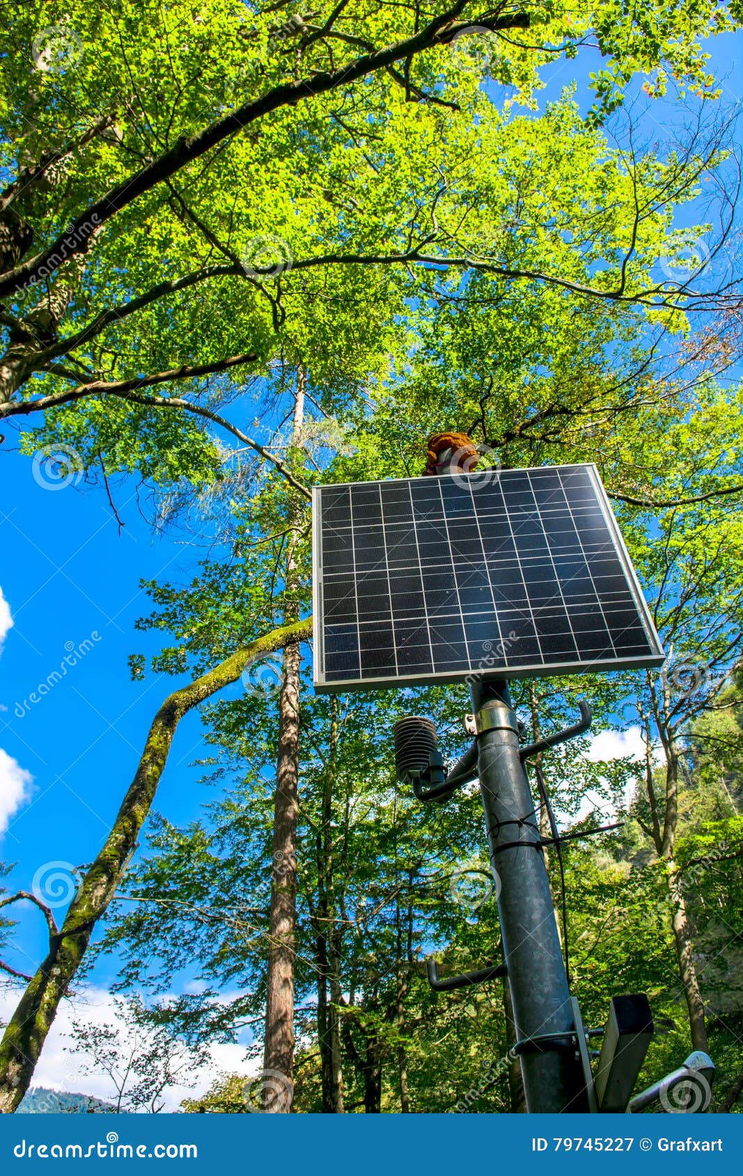 El Panel Solar Iluminado Por El Sol En El Bosque Imagen de archivo ...