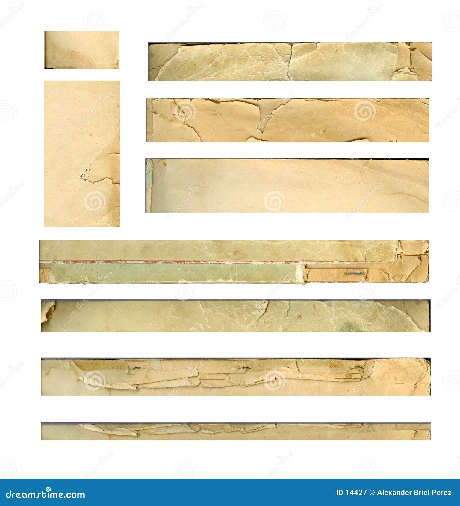 El Papel Raya El Scann 600dpi Imagen de archivo - Imagen de explorador ...