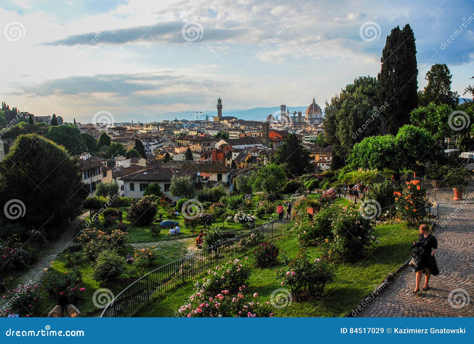 El parque de rosas imagen de archivo editorial. Imagen de delicioso ...