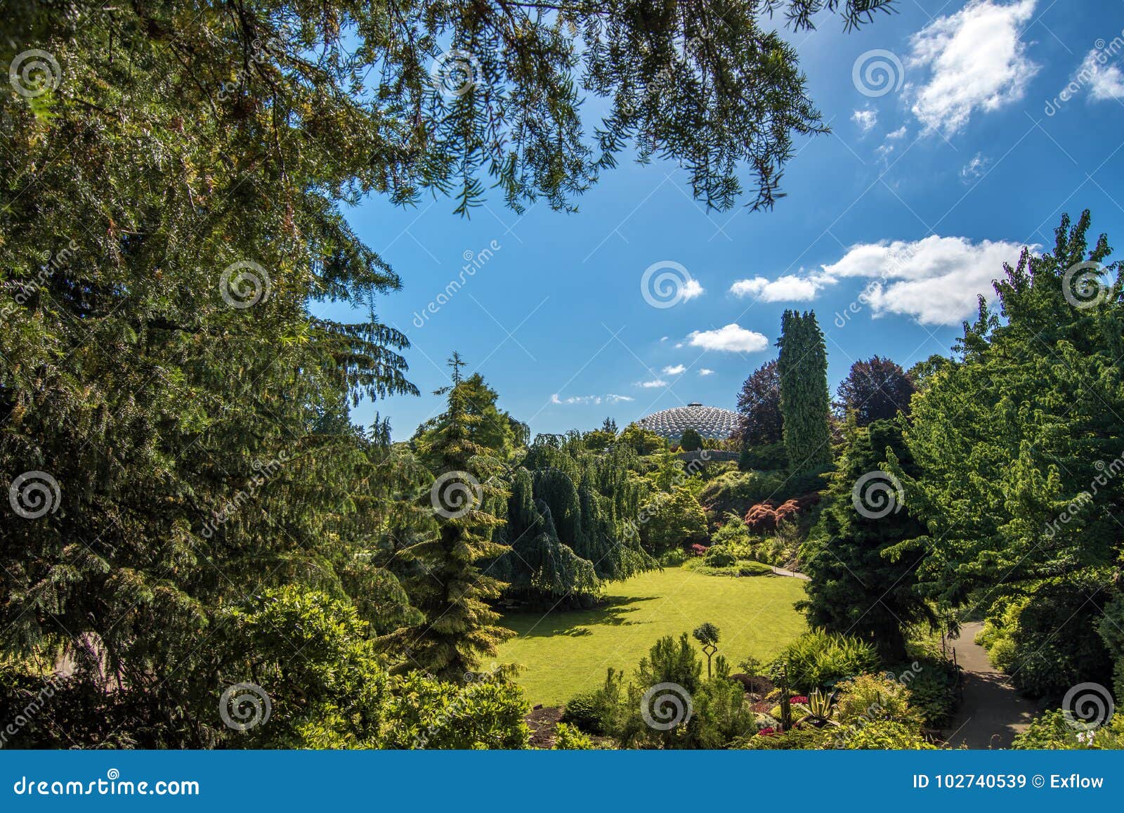 El Parque Hermoso De Elizabeth En Vancouver Imagen de archivo - Imagen ...