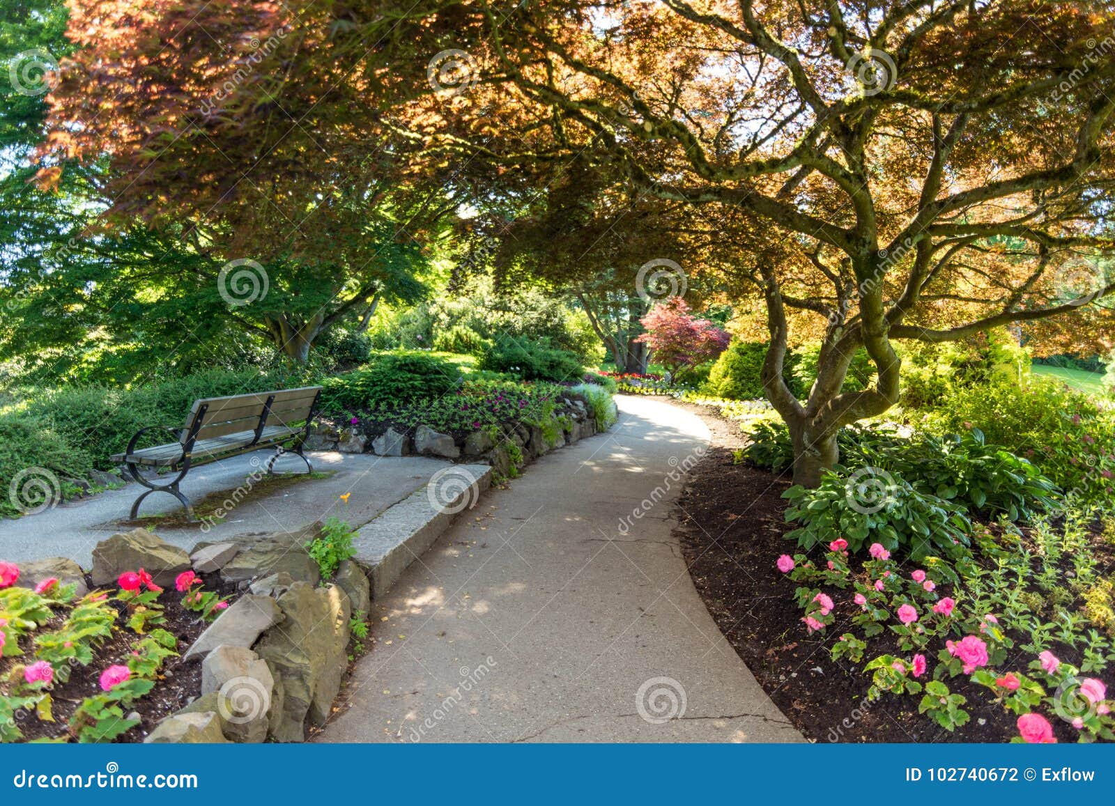 El Parque Hermoso De Elizabeth En Vancouver Foto de archivo - Imagen de ...