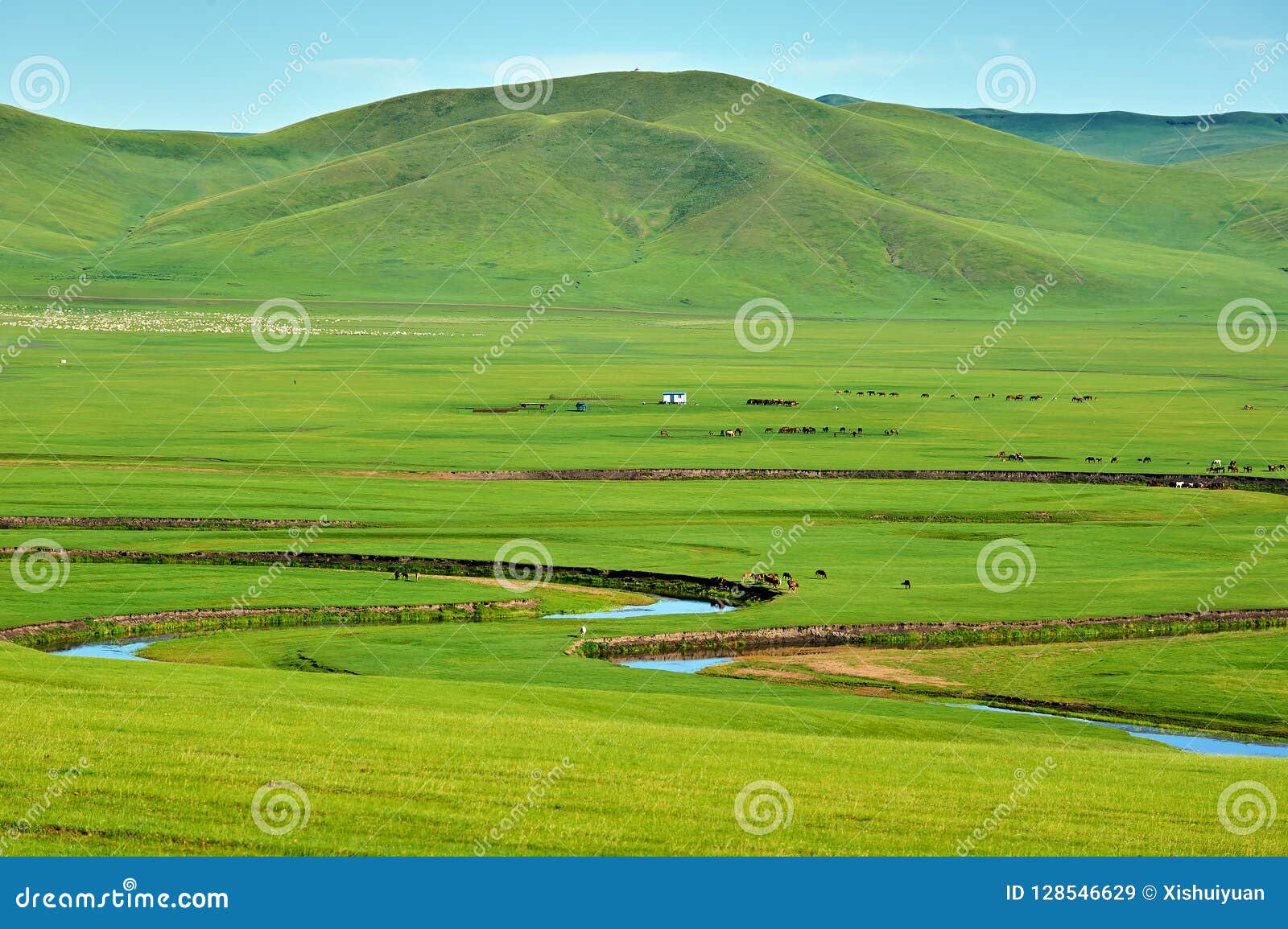 El Pasto Y El Río Verdes El Curvar Imagen de archivo - Imagen de azul ...