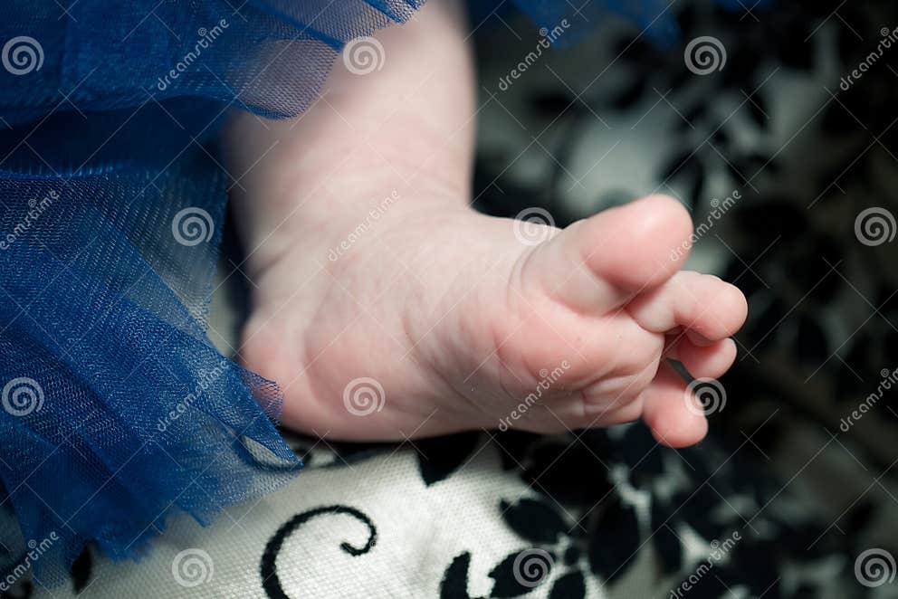 El poco pie del niño foto de archivo. Imagen de mullido - 37488426