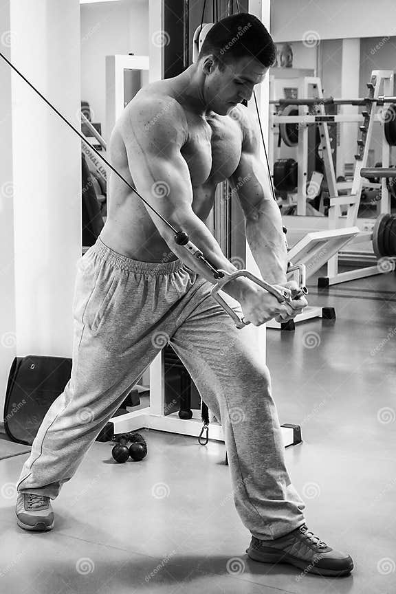 El Proceso Del Ejercicio Del Poder Imagen de archivo - Imagen de ajuste ...