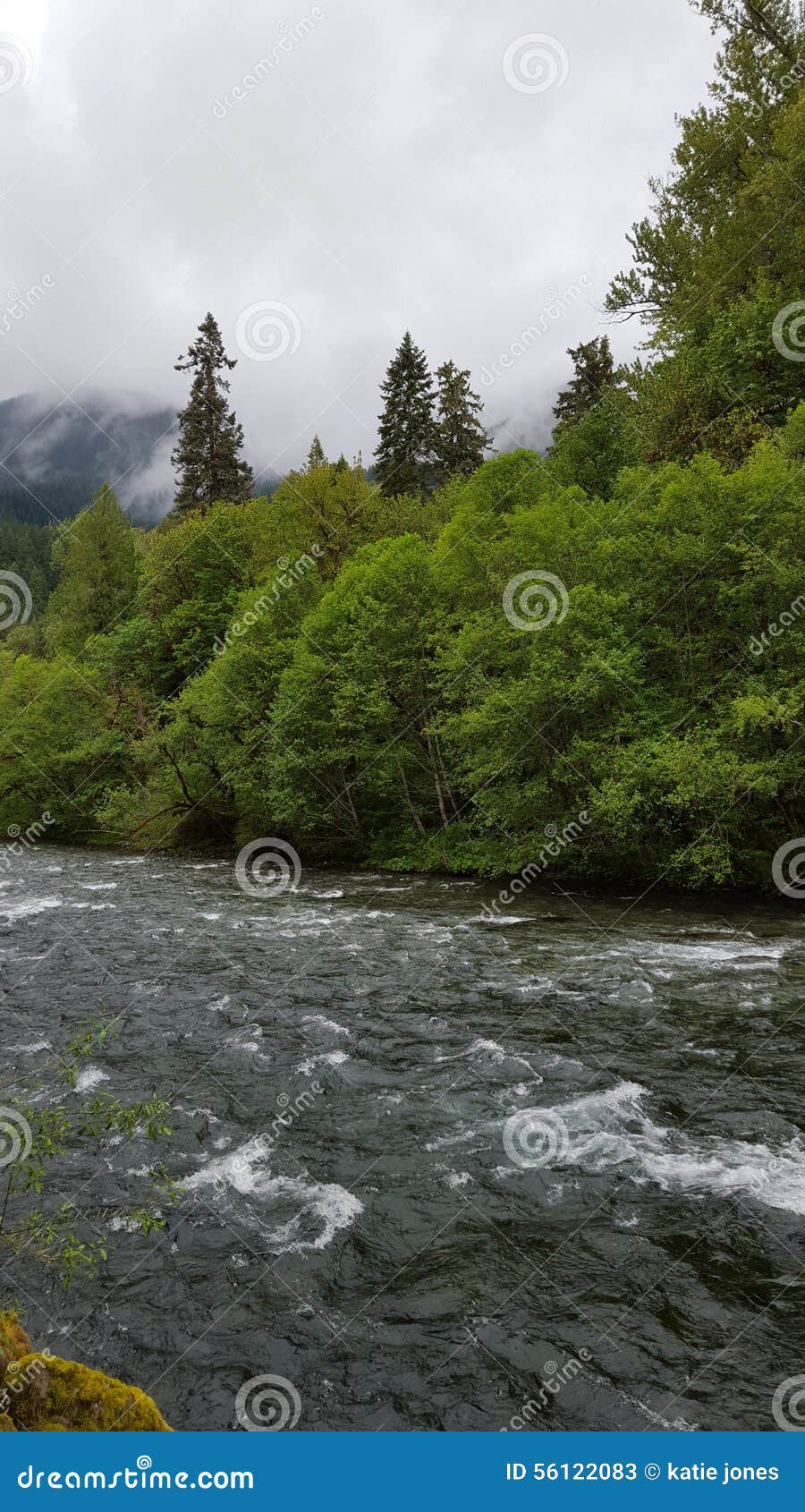 El río Mackenzie Oregon imagen de archivo. Imagen de nubes - 56122083