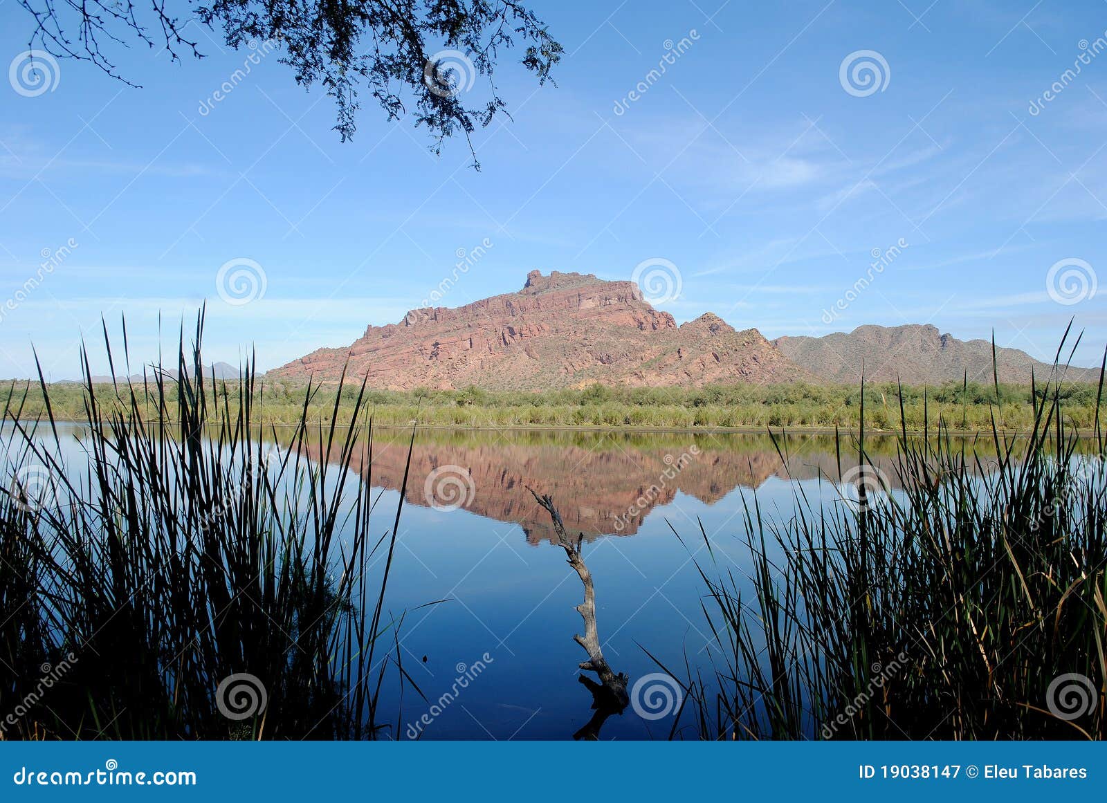 El río Salt, Arizona imagen de archivo. Imagen de desierto - 19038147