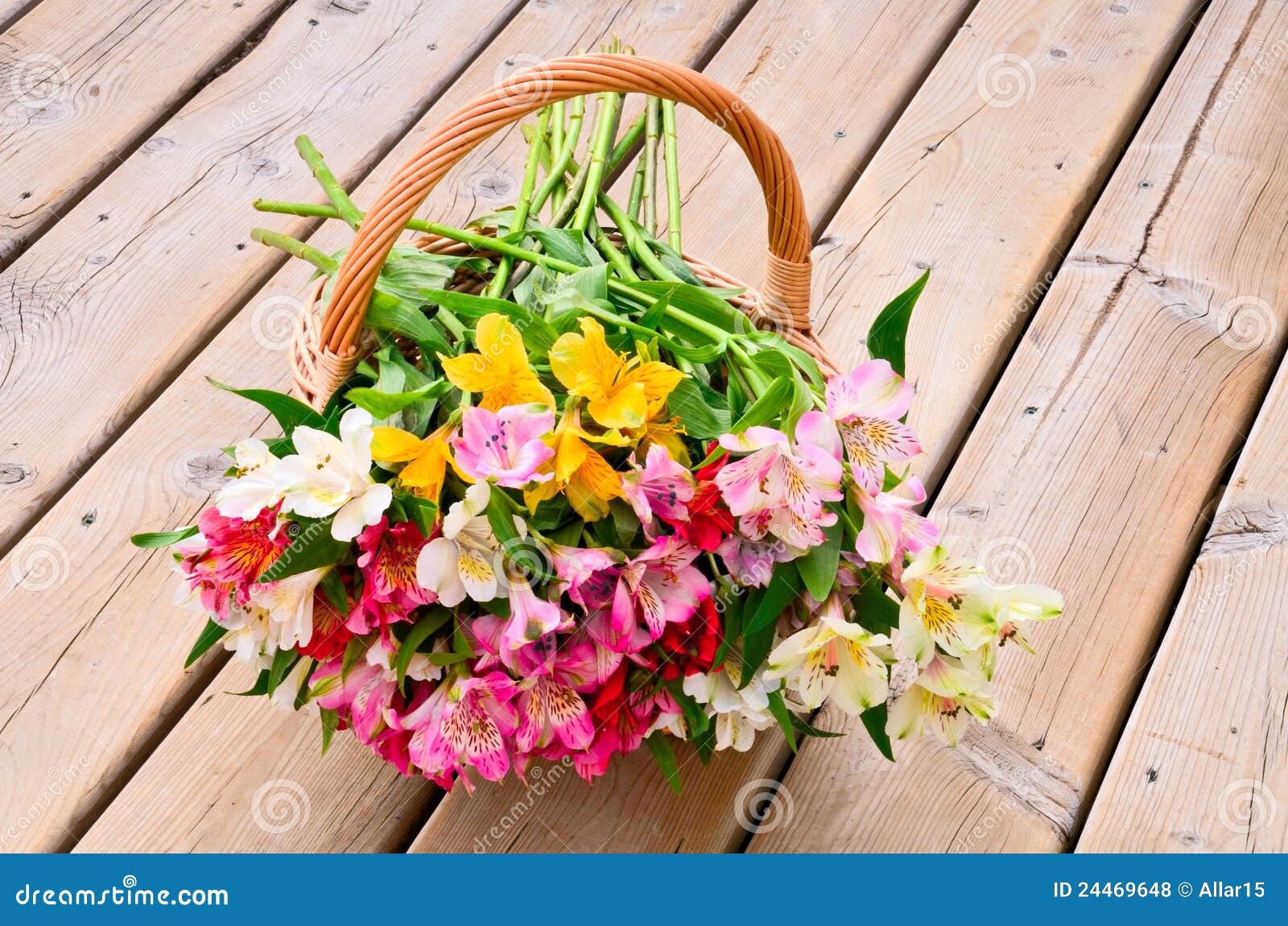 El Ramo De Alstroemeria Hermoso Florece En Bas Foto de archivo - Imagen ...