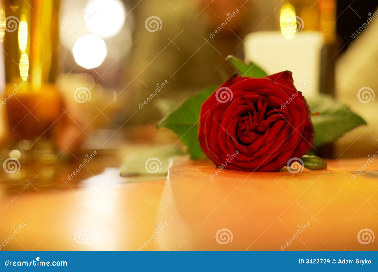 El rojo se levantó imagen de archivo. Imagen de macro - 3422729