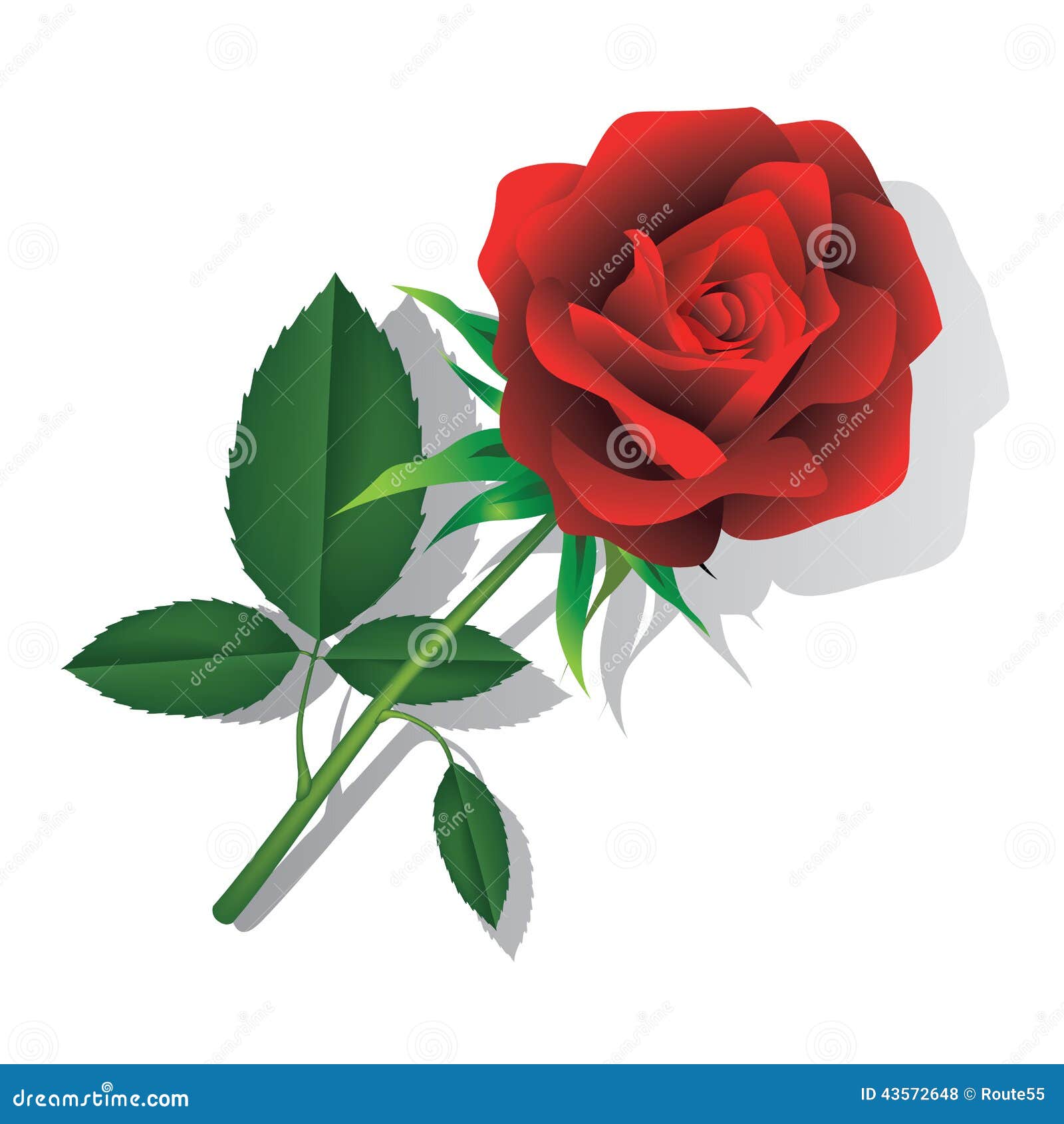 El rojo se levantó ilustración del vector. Ilustración de aniversario ...