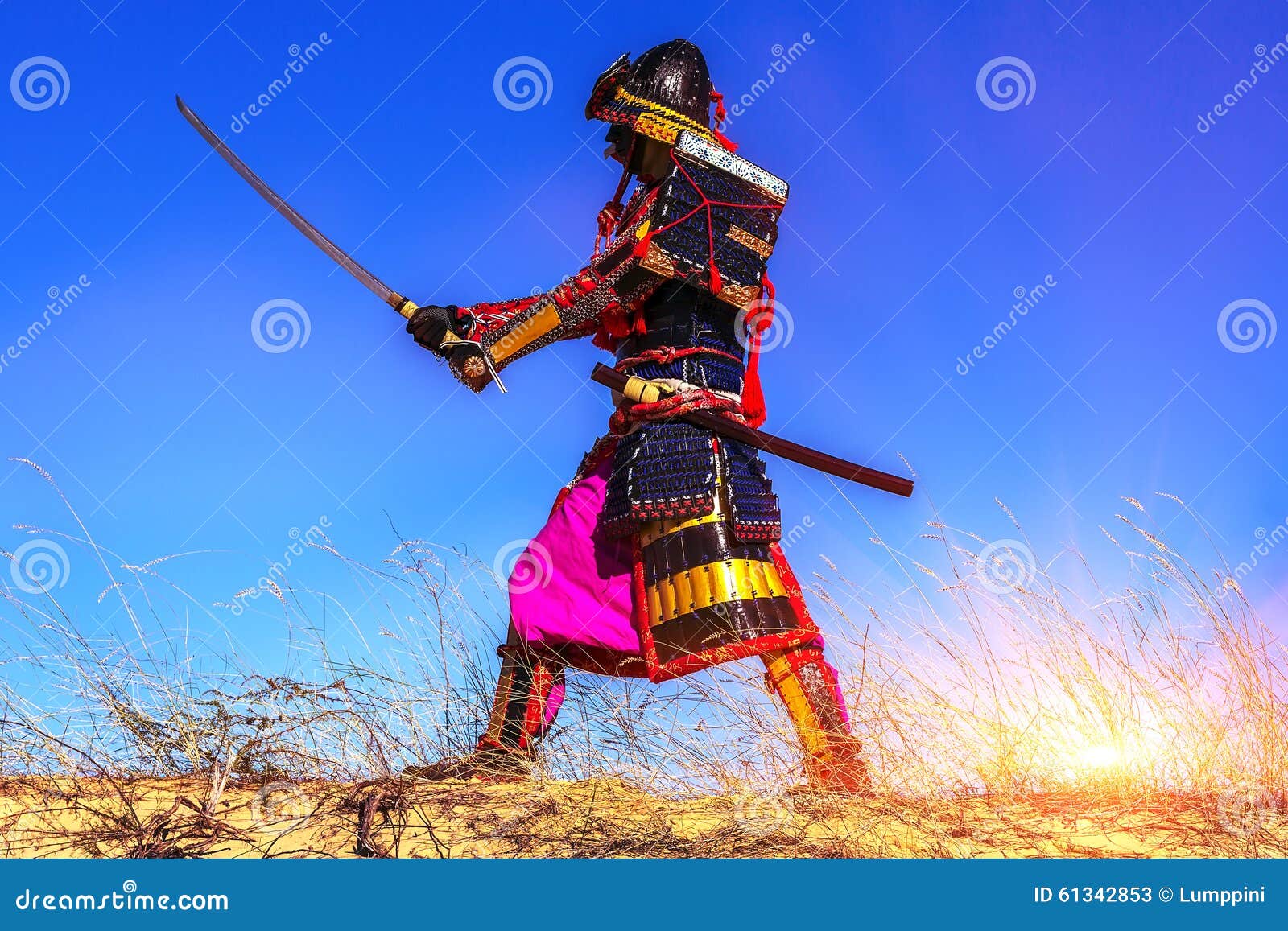 El Samurai En La Salida Del Sol En El Campo Con La Espada Practica ...